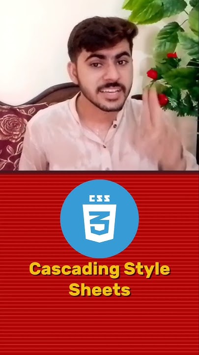 Html Css And Java Script Explanationwebdevelopment Youtube