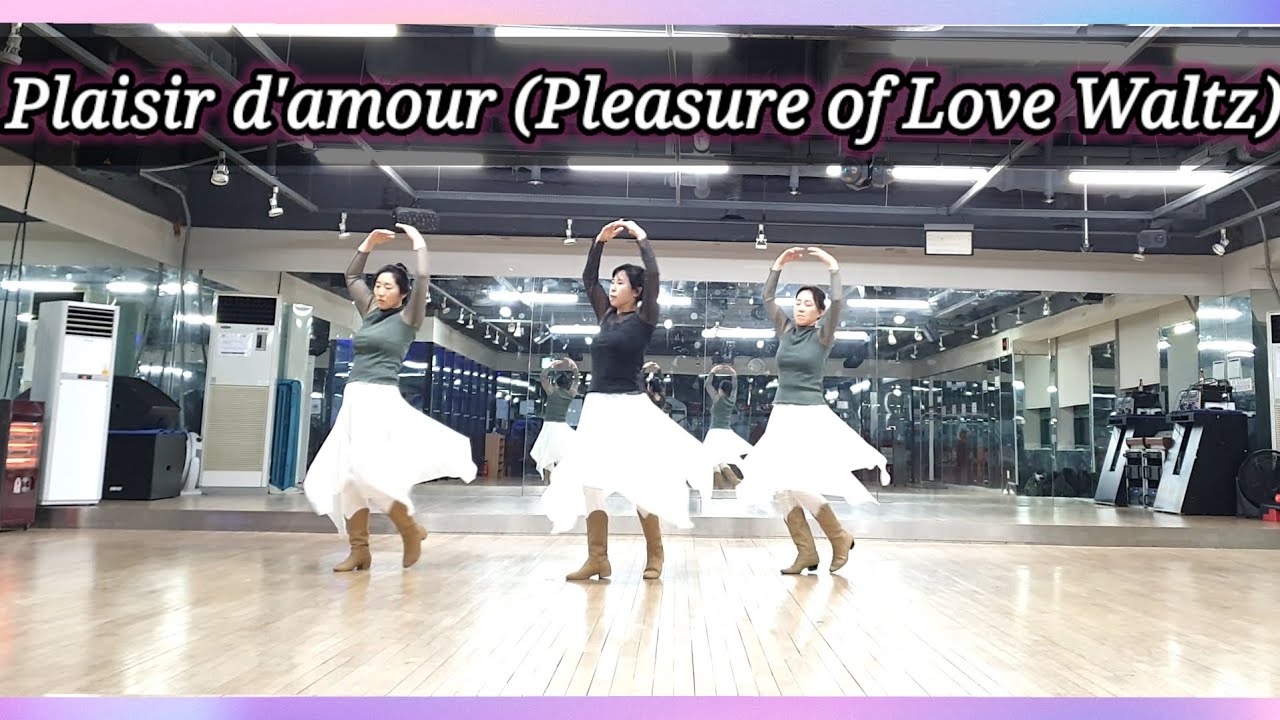 Plaisir d'amour (Pleasure of Love Waltz) 사랑의 기쁨 - YouTube