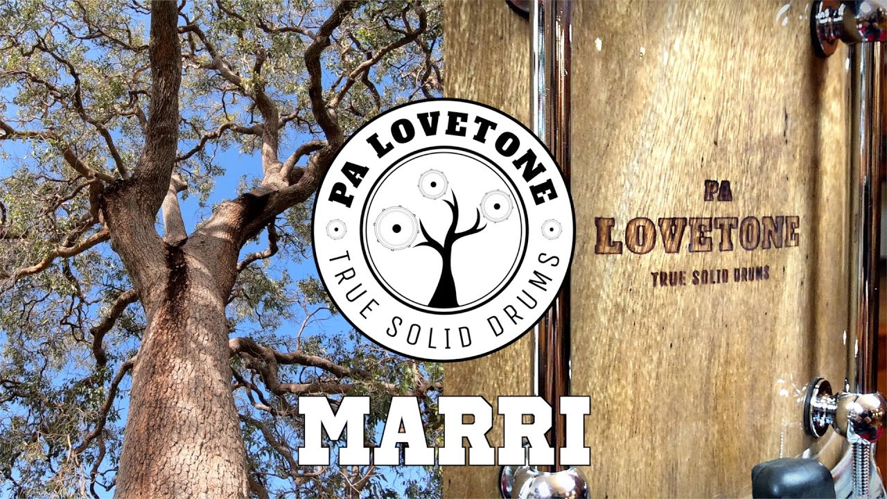 PA Lovetone - Western Australian Tonewoods: Marri - YouTube