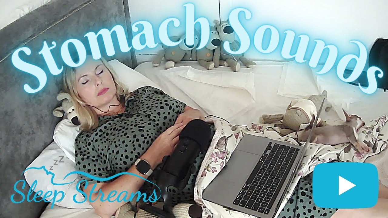 Soothing ASMR Stomach Sounds/Day Nap and Cute Puppy - YouTube