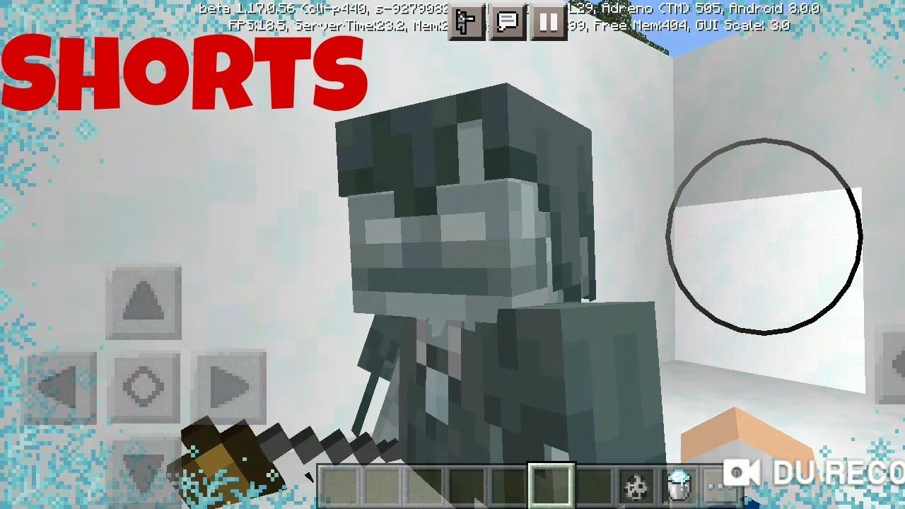 How to turn a skeleton into a stray with only a bucket of snow in 1.17 ...