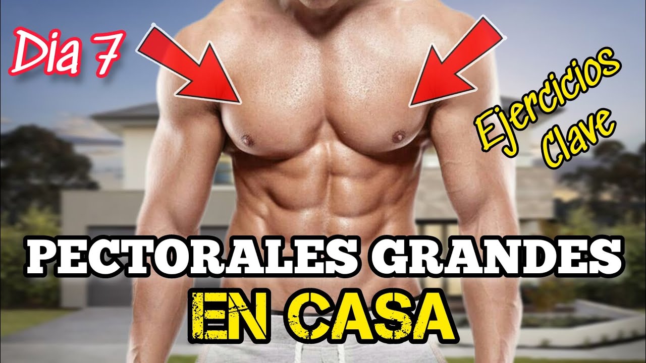 Transforma Tus Pectorales Con Estos Ejercicios En Casa / Día 7 Nivel ...