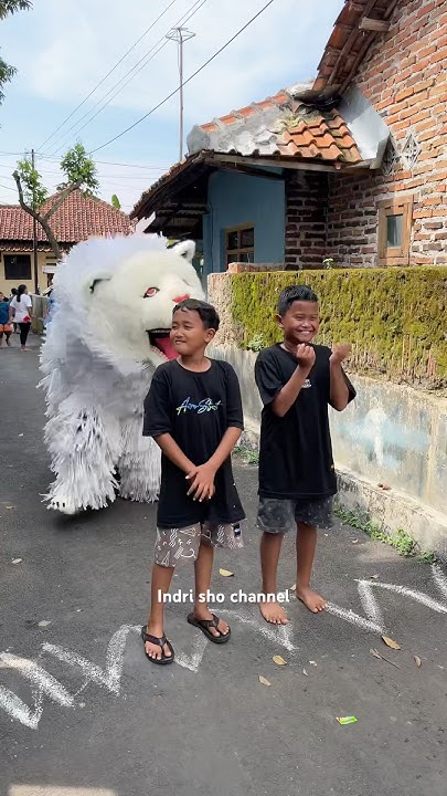 Bocil lagi bikin vidio velocity di ganggu sama can macanan - YouTube