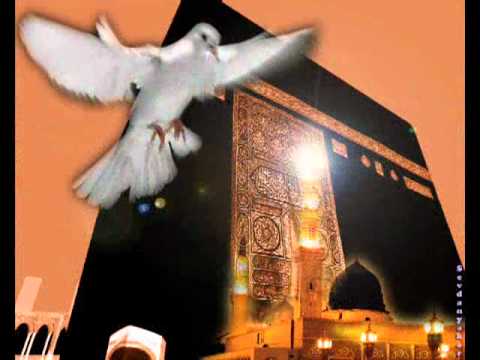 Susadım Yana Yana Gönül Nasıl Dayana