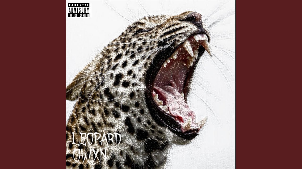 Leopard - YouTube