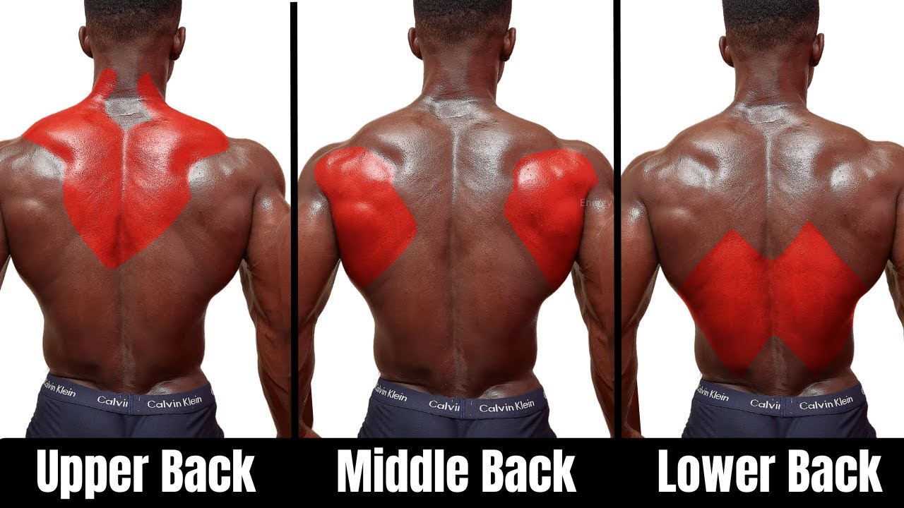 10 Exercises To Build Bigger Back | Back Workout - YouTube