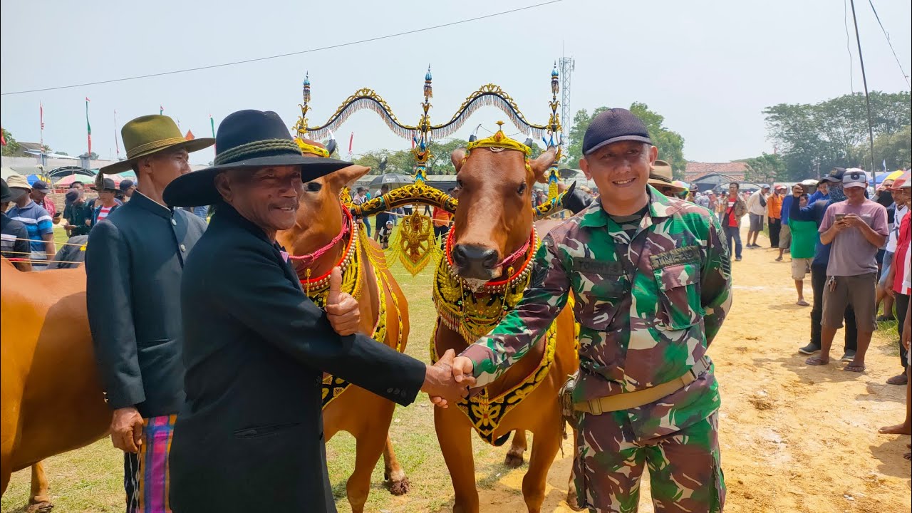 ikut meriah kan efen kerapan sapi Bangkalan piala kasad cap 20 ...