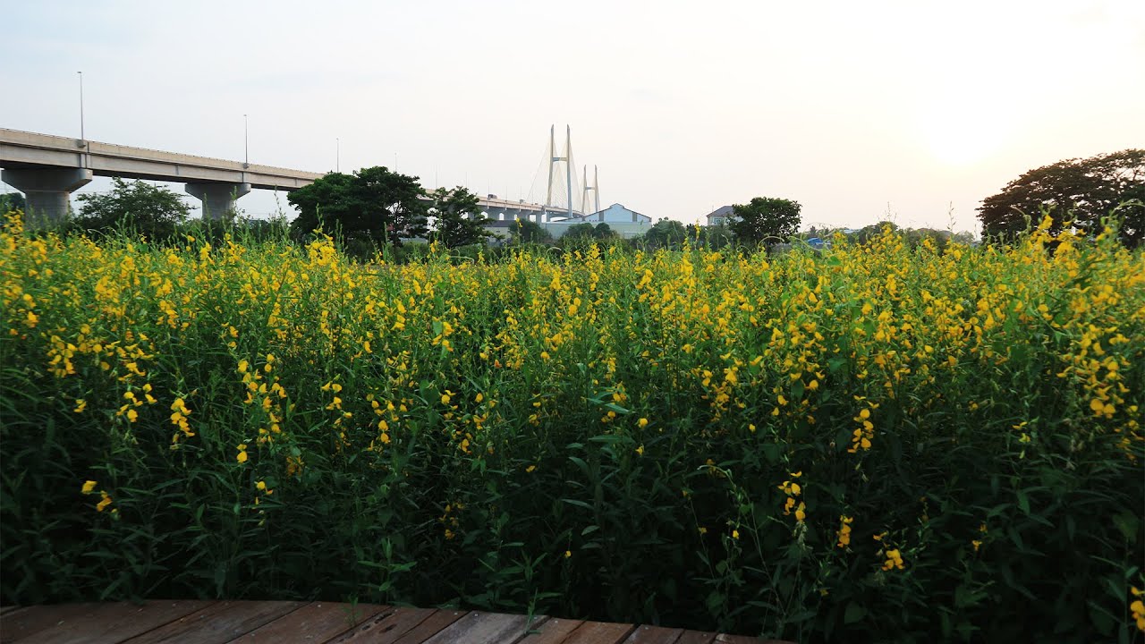 ទេសភាពខេត្តព្រៃវែង | Landscape of Prey Veng province - YouTube