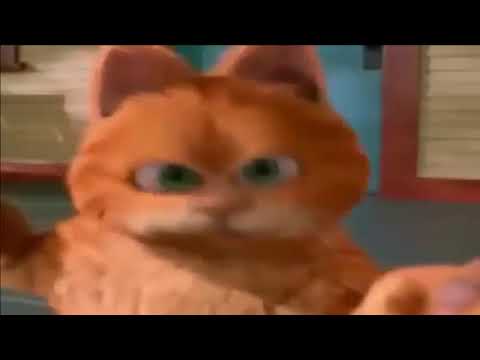 Garfıeld şemsettin bin arabaya