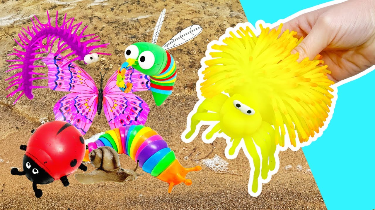 Learn Bug Insect Names at the Lake for Babies Toddlers Preschoolers ...