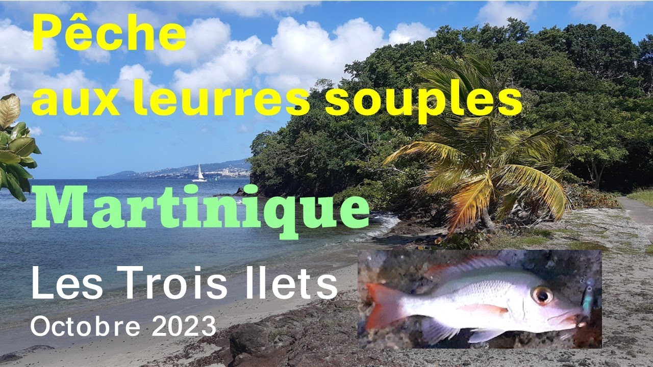 Pêche en Mer du Bord - Martinique - Les Trois Ilets - YouTube
