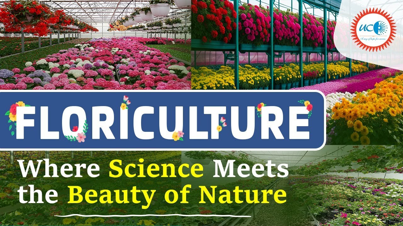 Floriculture: A Blossoming Opportunity in Agriculture and Horticulture ...