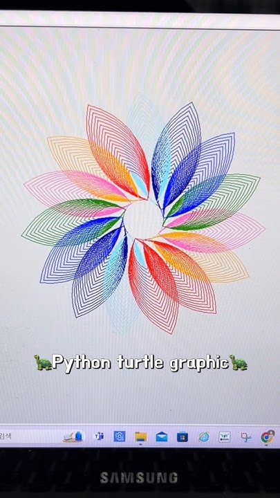 파이썬 터틀그래픽💥coding Python Pythontutorial Turtlegraphics Pythonturtle