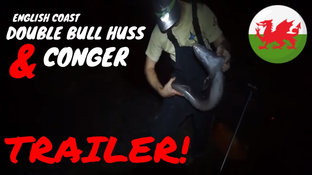 *TRAILER* English Coast Fishing, Conger & Bull Huss. - YouTube