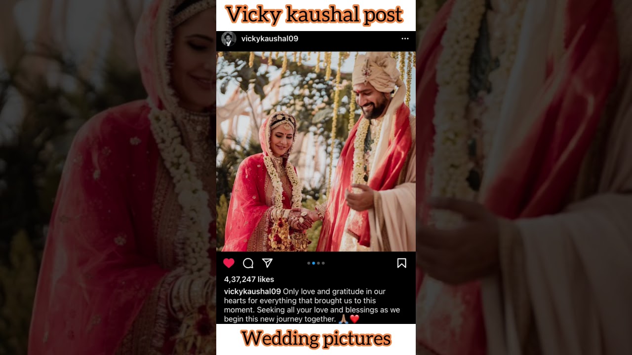 Vicky and Katrina shadi pictures😍🧿💓😇 #shorts #vickat #vickatwedding ...