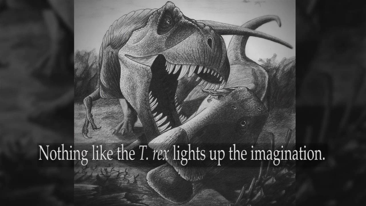 Bring the KU T. rex home - YouTube