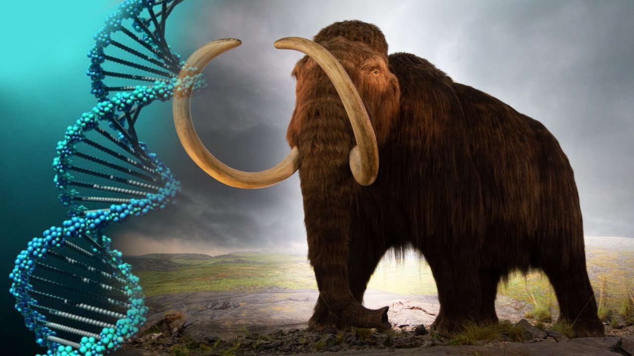 CREAREMOS MAMUTS DENTRO DE 6 AÑOS - YouTube