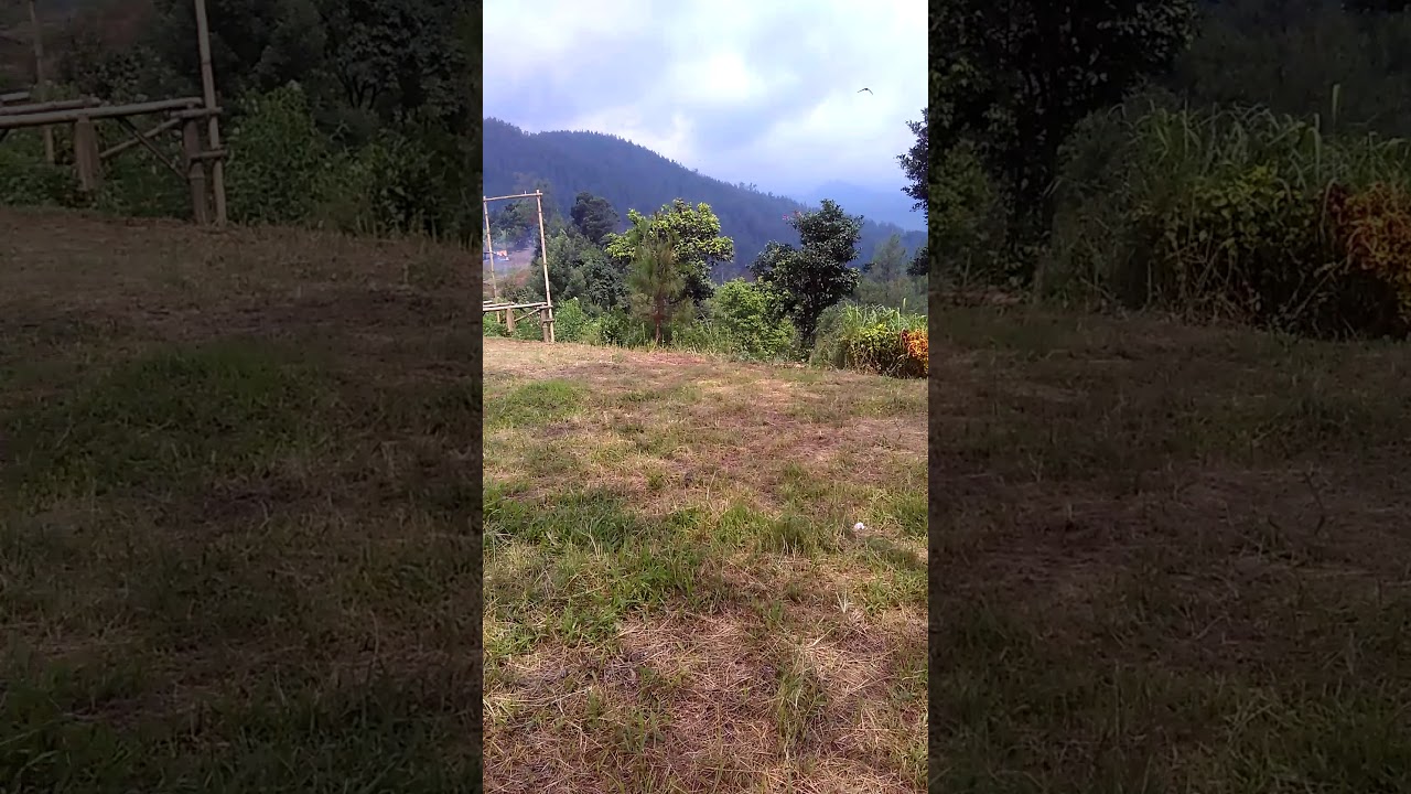 Camp sunan Krapyak - YouTube