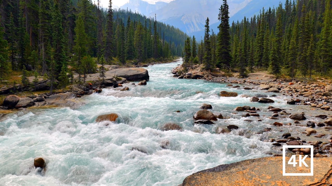 4K Mistaya River Rapids | Banff National Park | Canadian Rockies ...