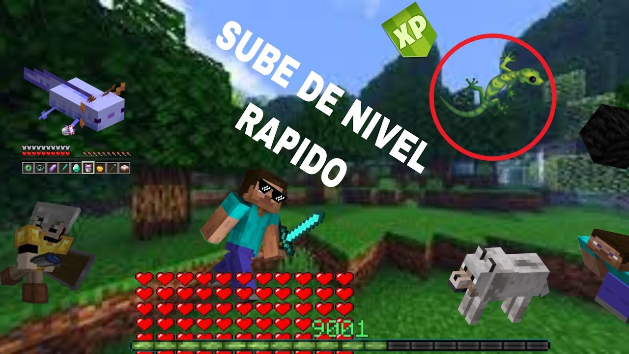 COMO SUBIR DE NIVEL Minecraft dungeons (Mycraft) - YouTube