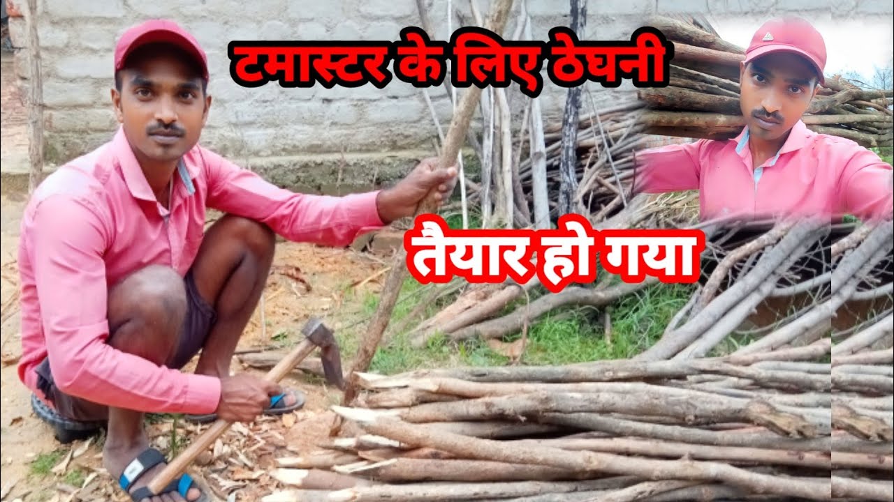 चले टमाटर का डंडा खुभिआने । tamatar ka danda khubiya ne 😭🍅 l Mr ...