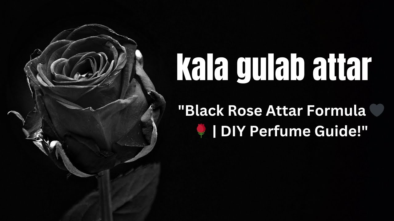 "How to Make Black Rose Attar (Kala Gulab) | Step-by-Step Perfume ...