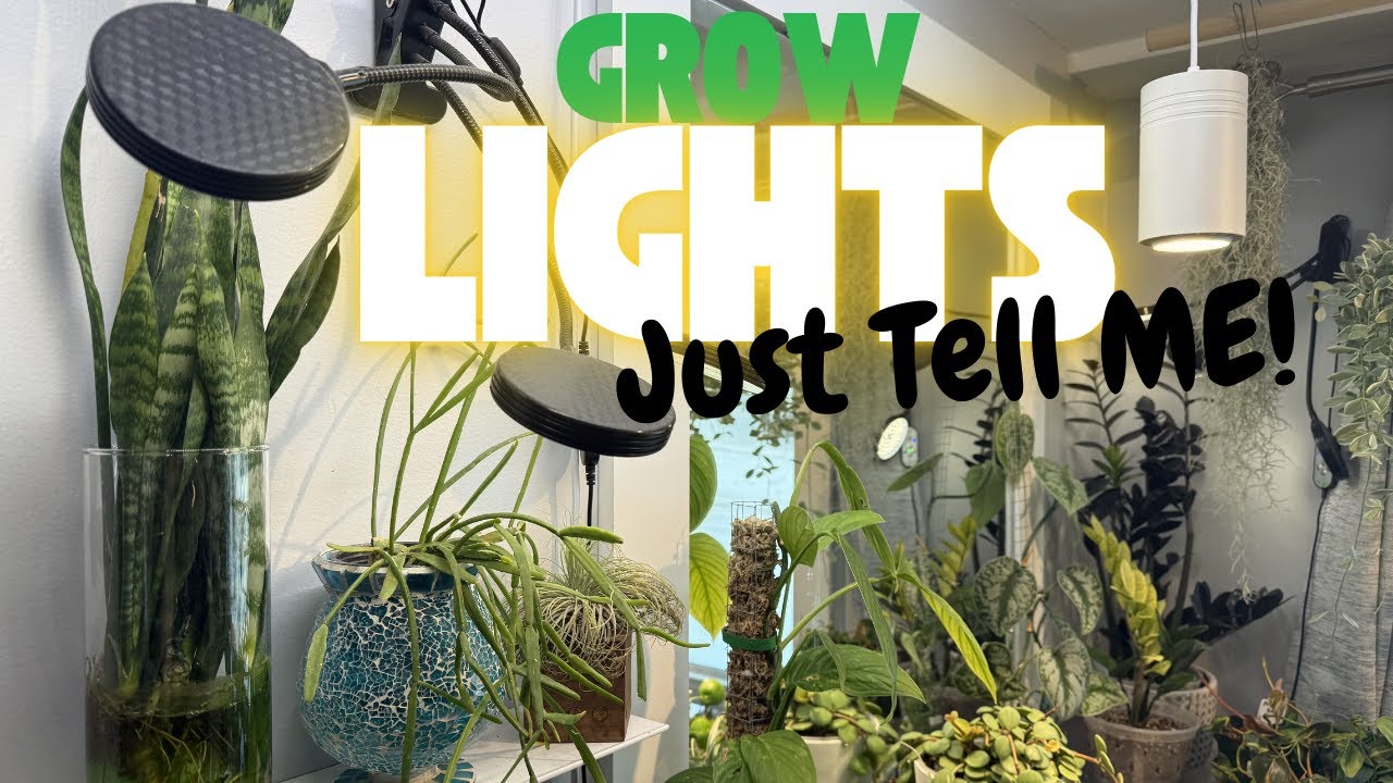 Grow Lights for indoor plants. Explained Simple. No Confusion. Plant ...