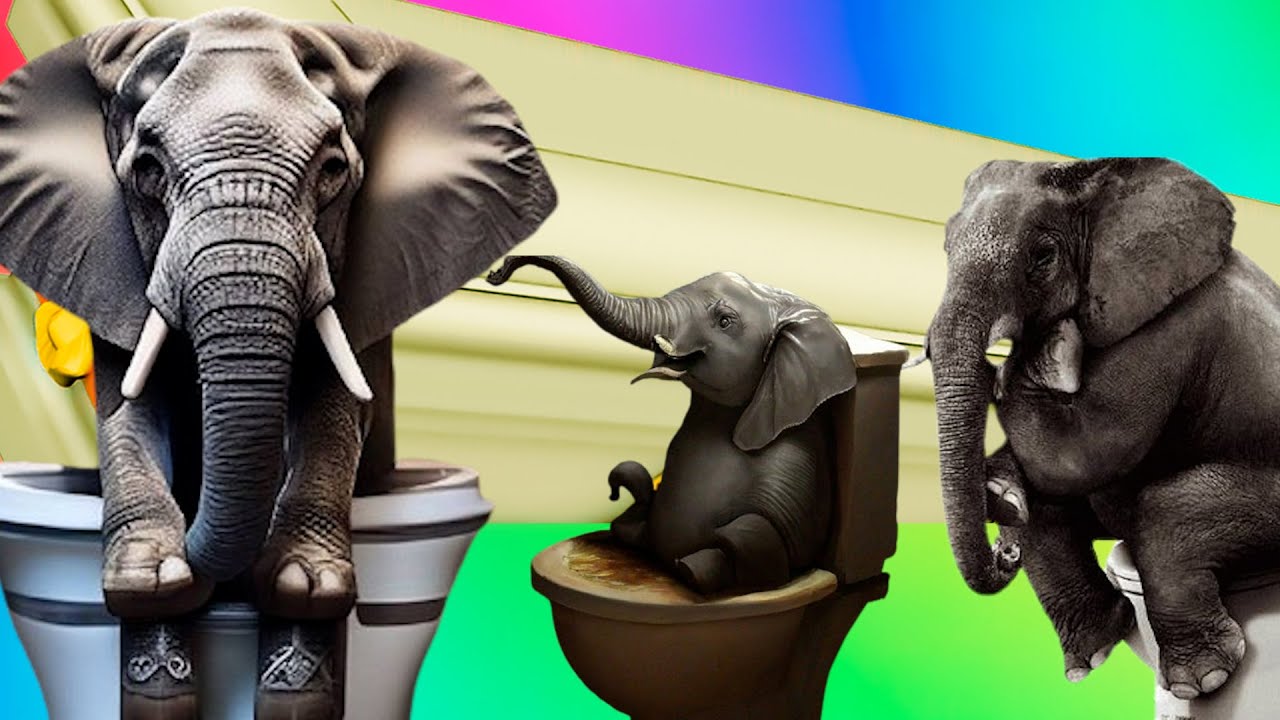 Funny Elephants / Skibidi Toilet Meme Song *Part 2* (Cover) - YouTube