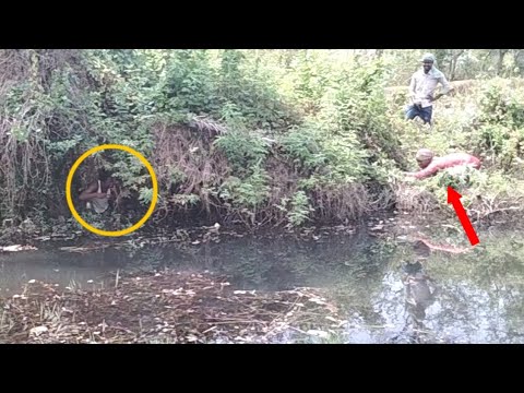 Shikaria kora | Santali Vlogs Video - YouTube