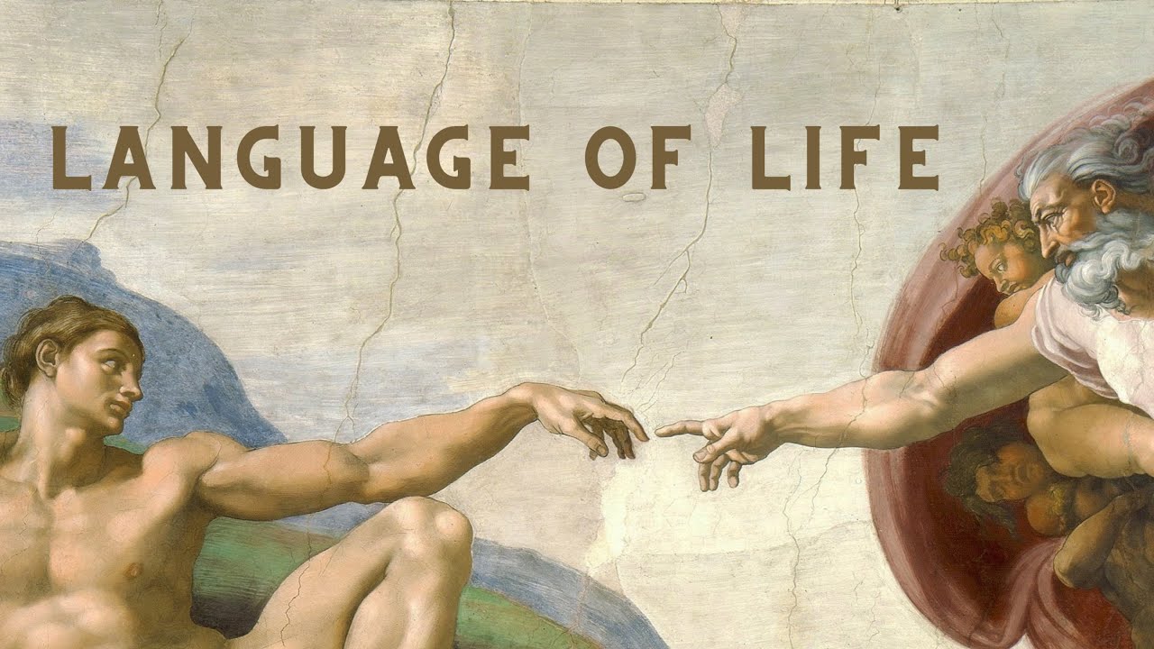 The Language of Life • Genesis 11:1-9 - YouTube