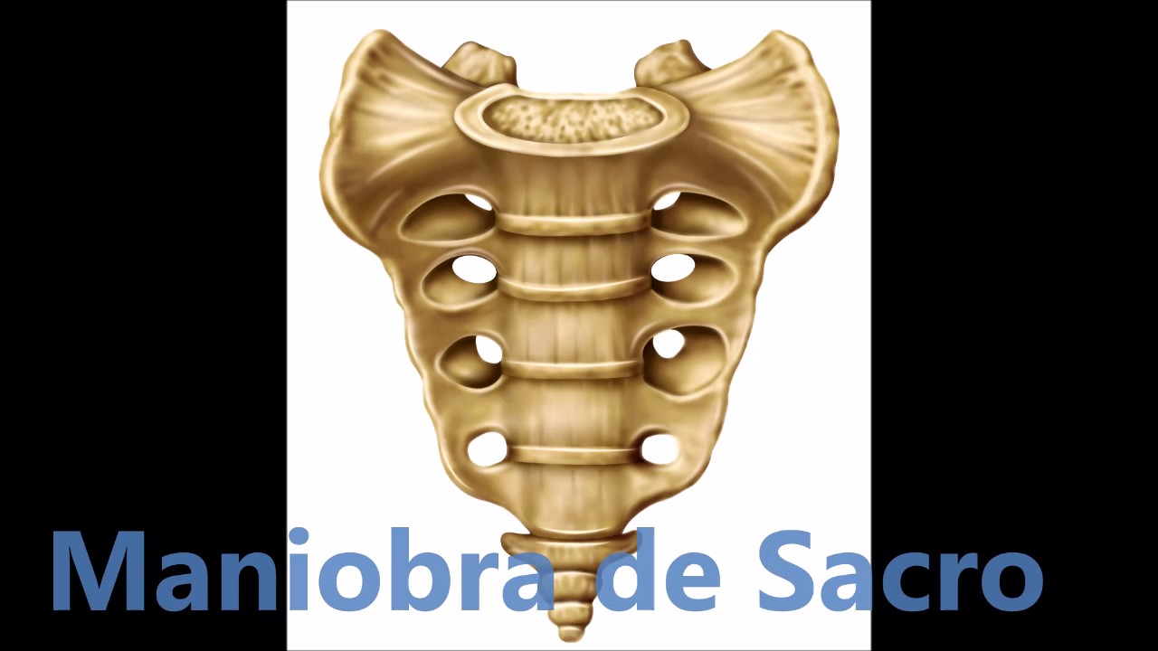 Osteopatía Integrativa 1º Clase sacro - YouTube