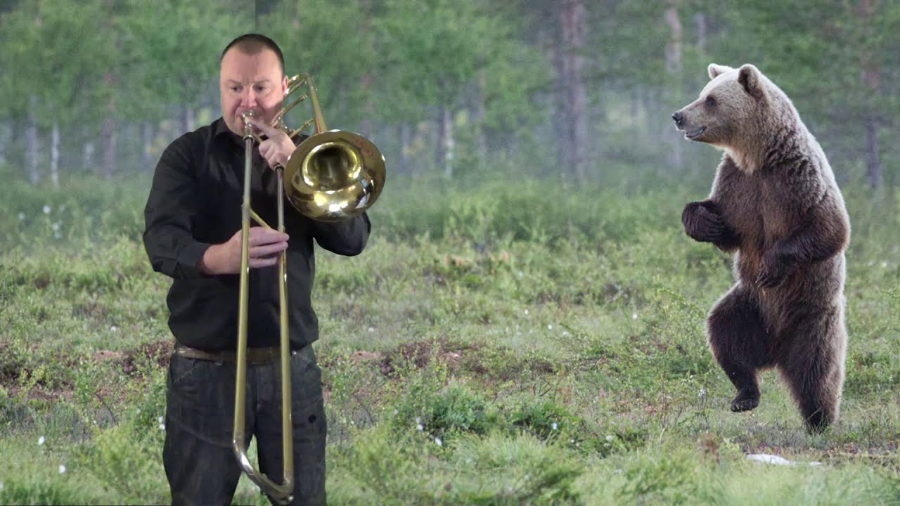 Dances With Bears - YouTube