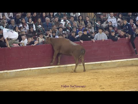 Zaragoza – Mañana vaquillera 05/10/2025 – Nº233/Matabichos – “Hnos. Oliva Escudero” – HD