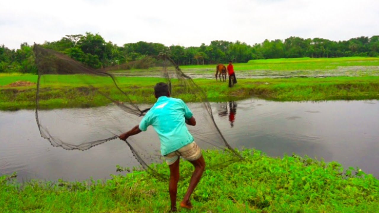 Net Fishing | Asian Traditional Cast Net Fishing in Village with ...