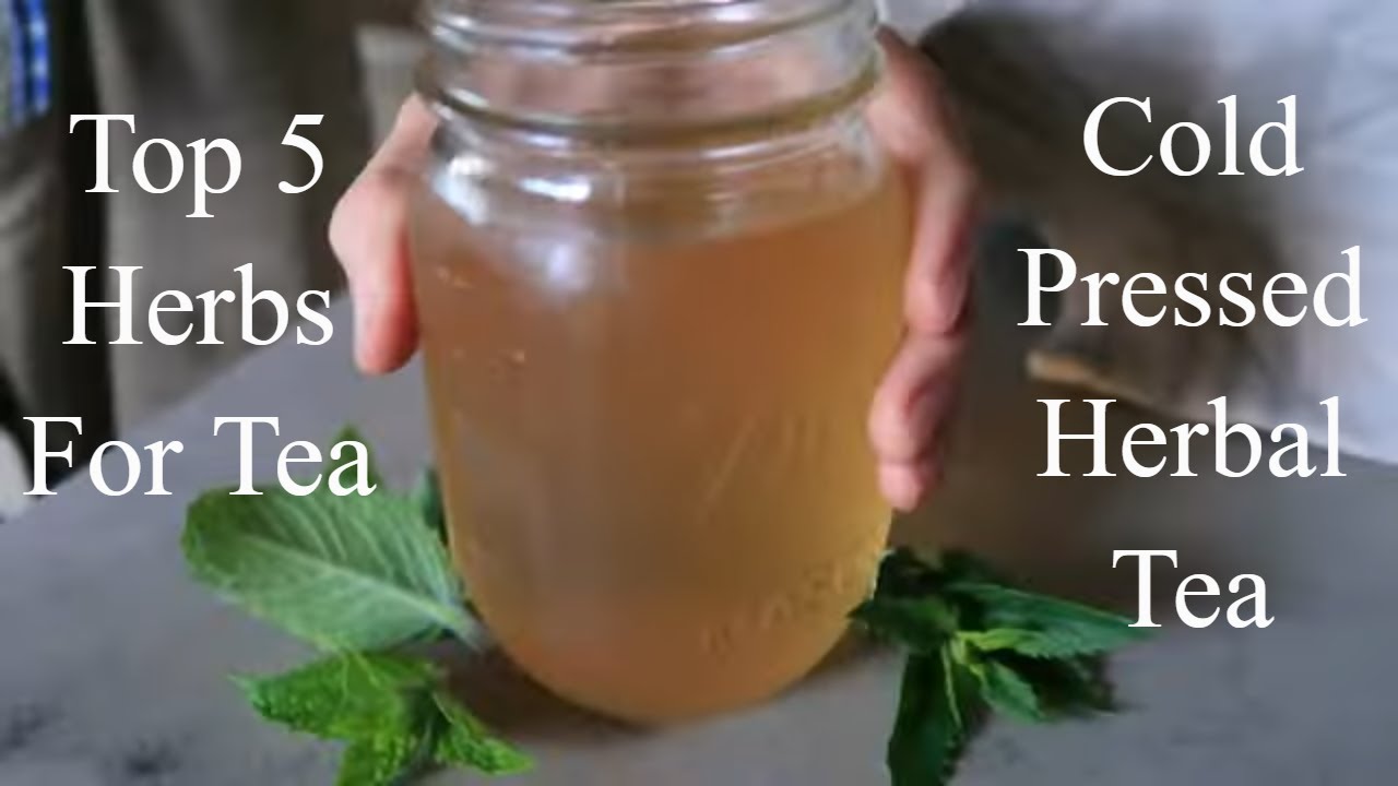 Our TOP 5 Herbs To Grow For Tea / How To Make Cold Pressed Tea - YouTube