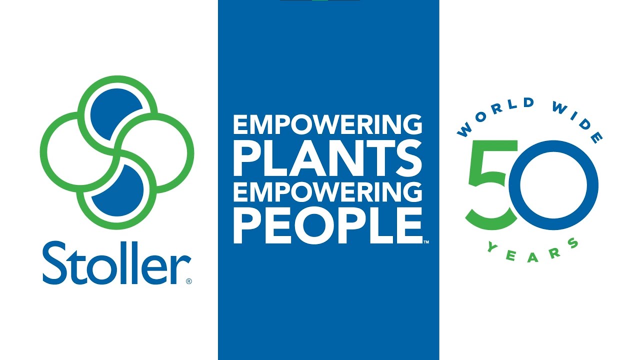 Stoller Group - 50 anos - YouTube