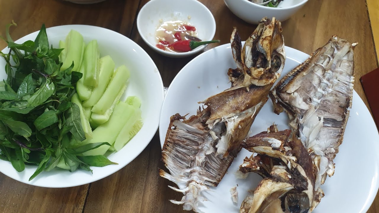 Cá Bò Chít, Gà Biển - Giao Lưu Anh Em Thế Giới Máy Móc - YouTube