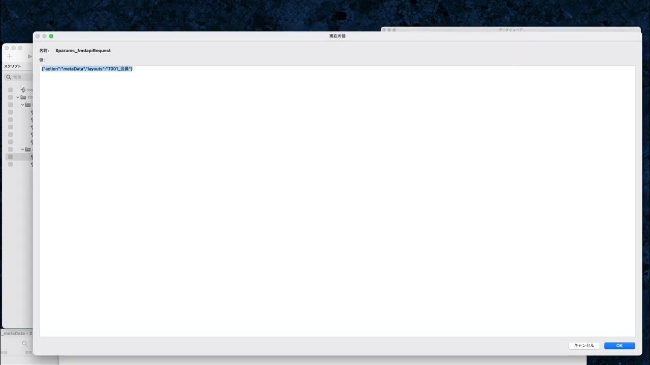 experience the run filemaker data api script metadata layouts - YouTube