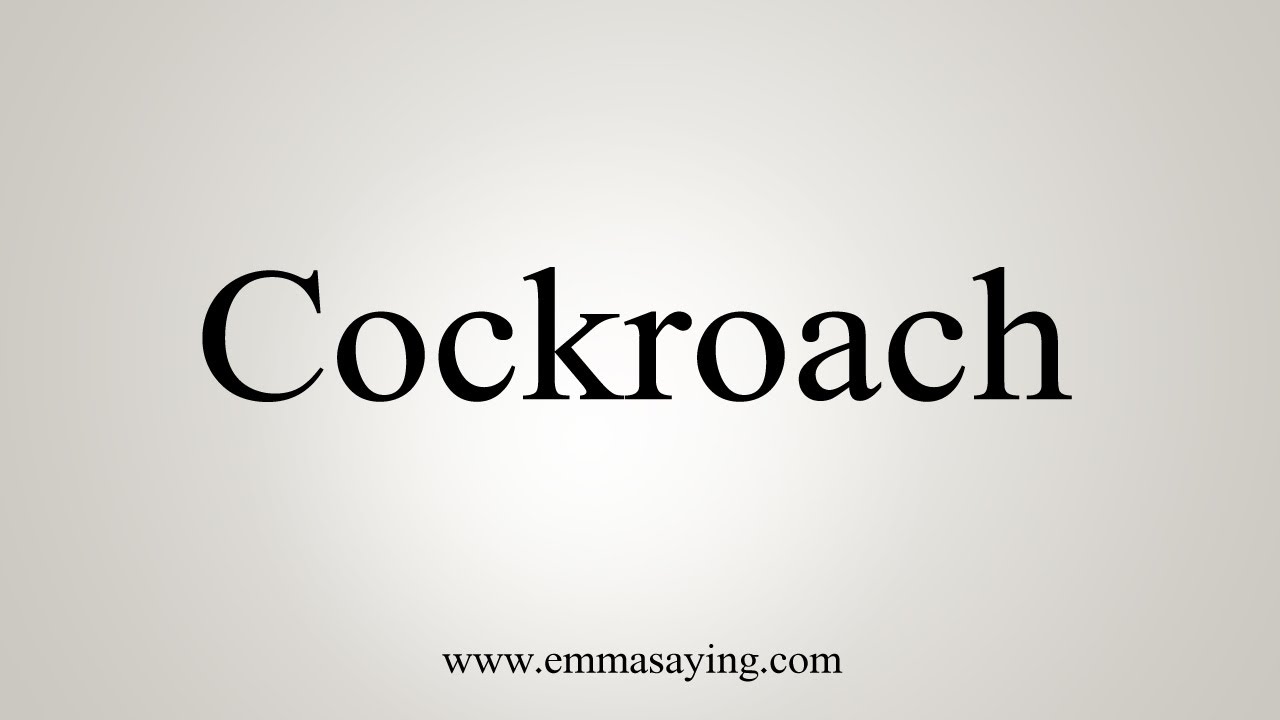 How To Say Cockroach - YouTube