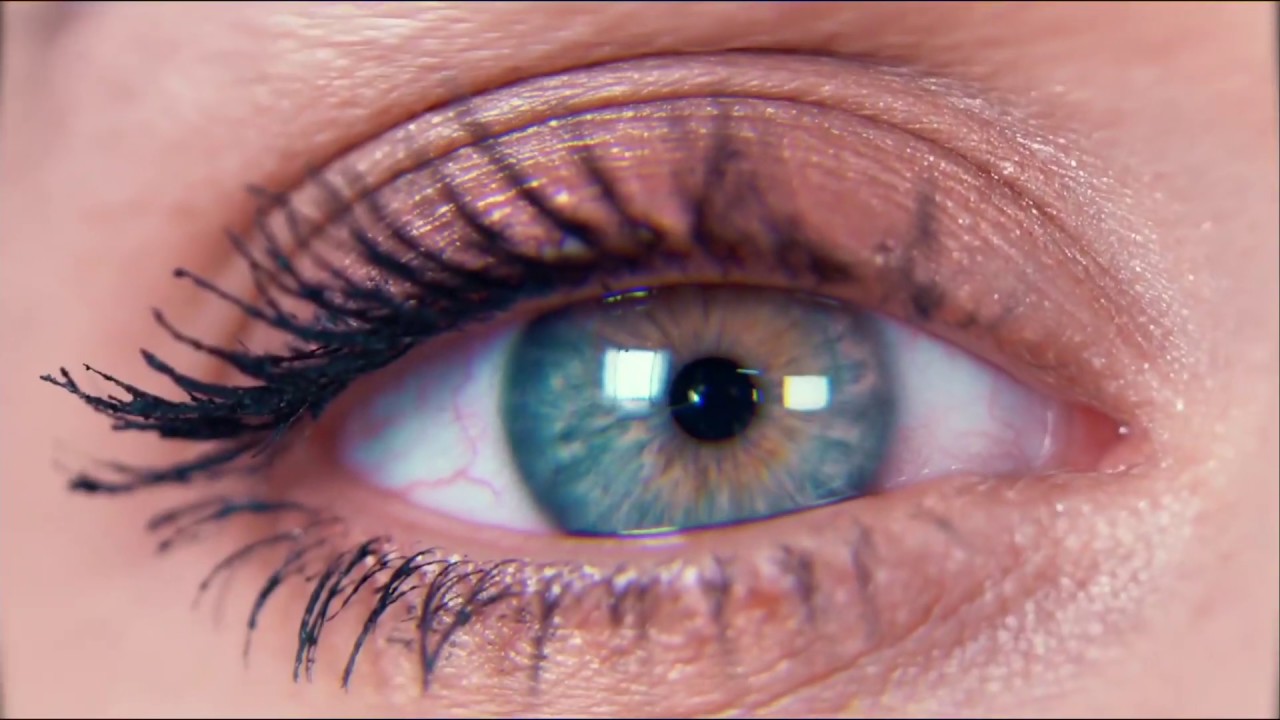 Como ser um iridologista? - Curso de Formação em Iridologia Clínica ...