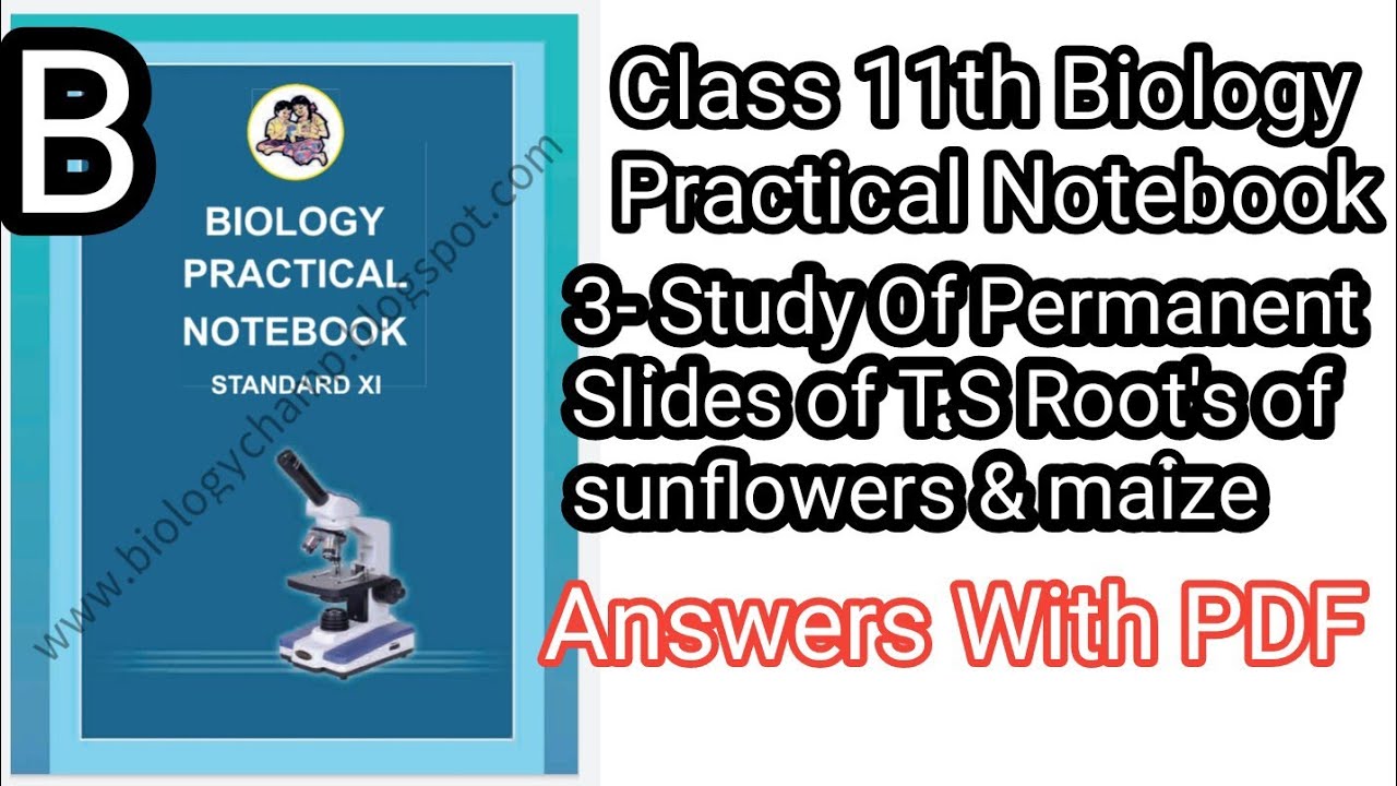 Calss 11th Biology Practical Notebook|| (B) 3- Study Of Permanent ...