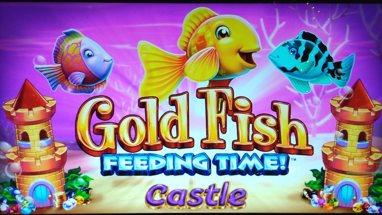 Goldfish Multiple bonuses - YouTube