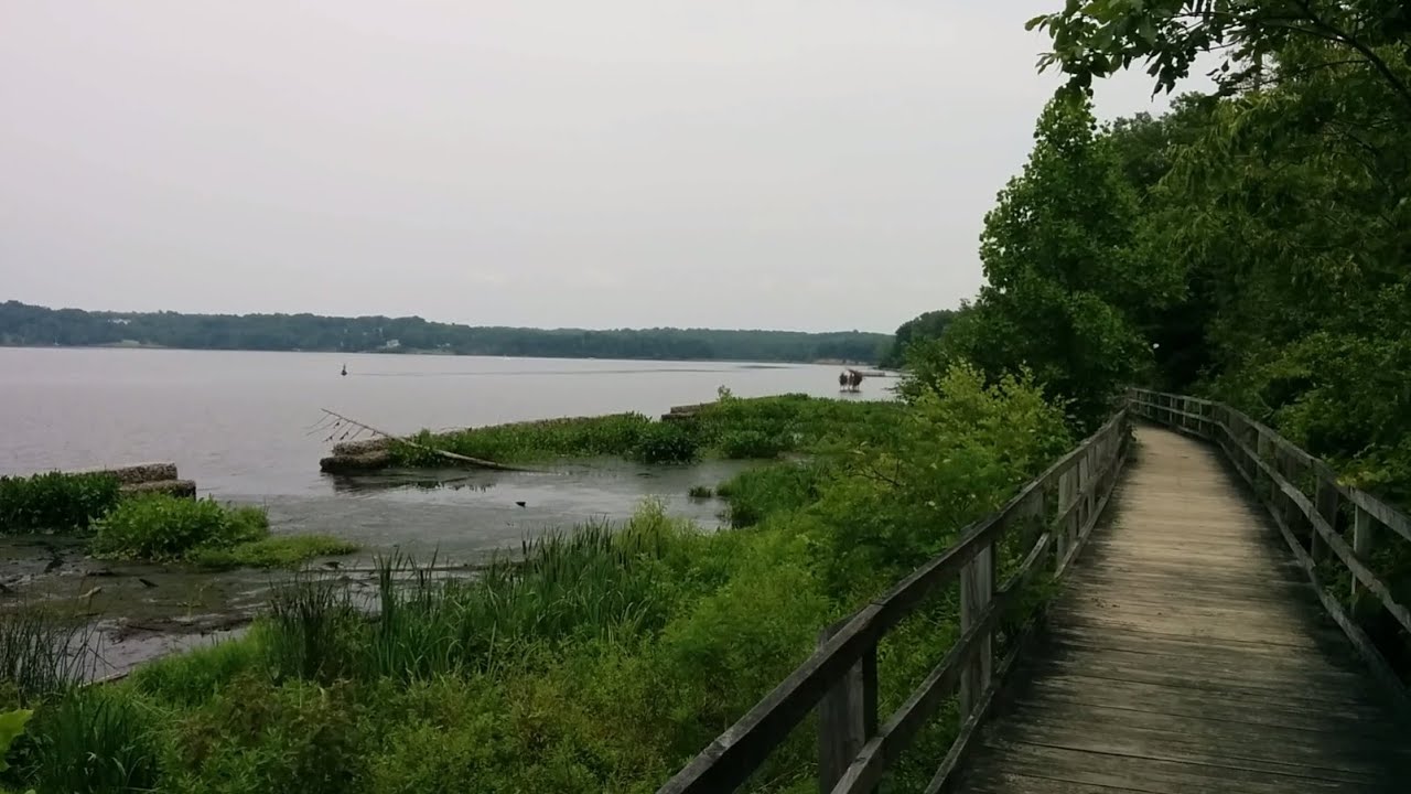 Hiking the Bay View trail in Mason Neck State Park (Lorton, Virginia ...