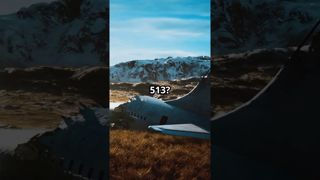 The Eerie Mystery of Flight 513 #horrorstories #horror #aviation - Go IT