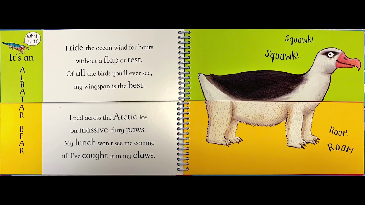 Story Time with Mr Noack: Flip-Flap Frozen - YouTube