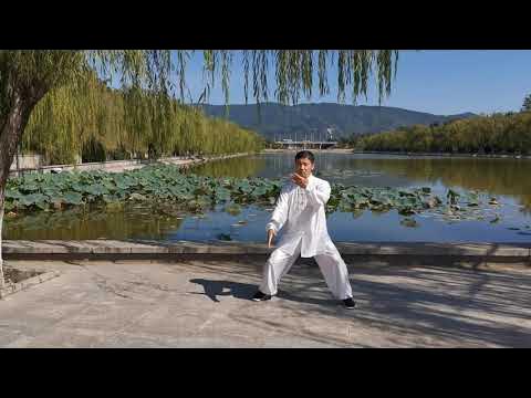 太极张海松：The complete Yang-style Taijiquan Wang-chi old six-way style.杨式太极拳汪脉老六路完整套路 - YouTube