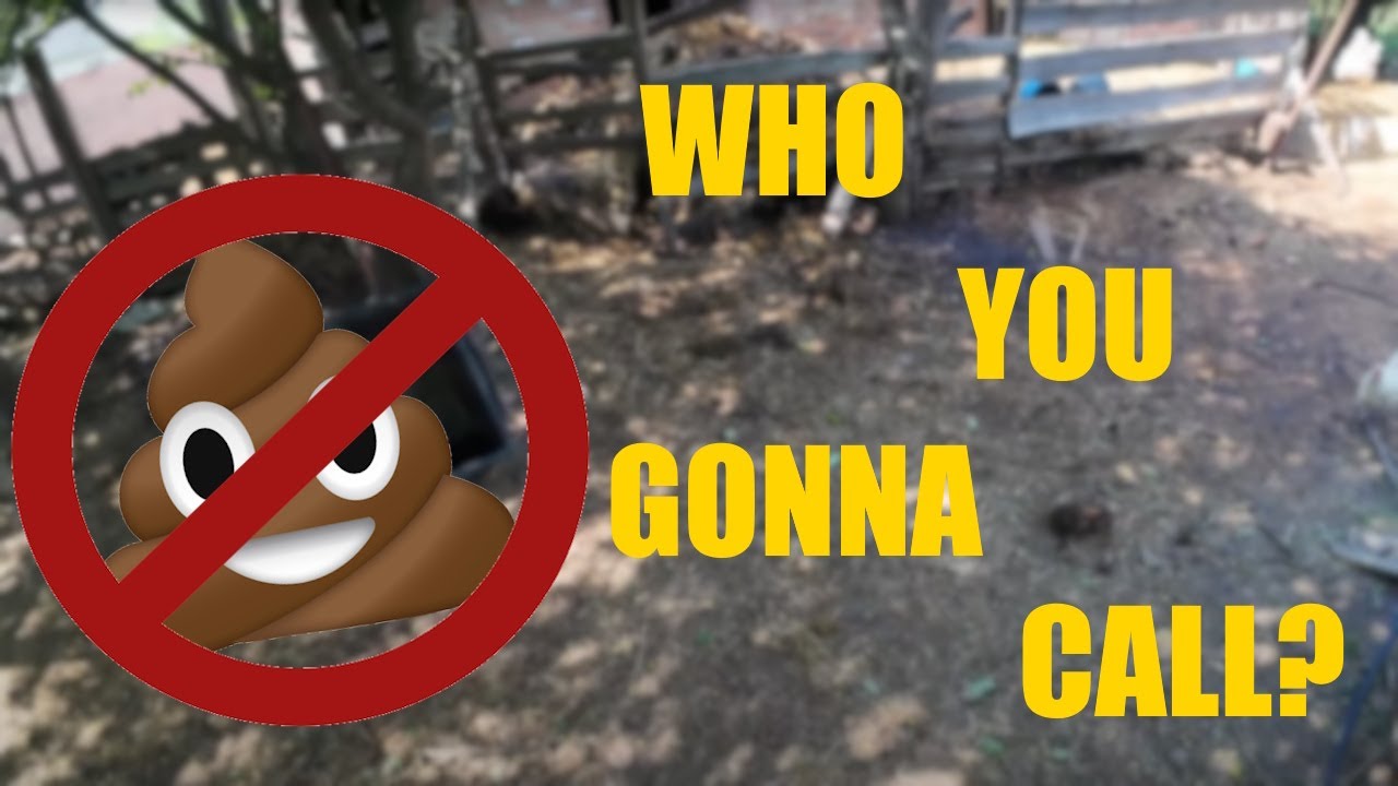 Tower of poop - YouTube