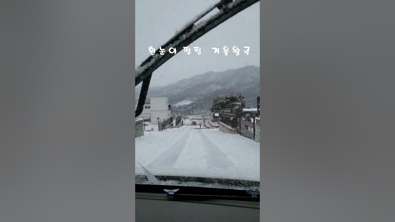 흰눈이 펑펑 겨울왕국 경기도 여주시 게스트하우스 Youtube