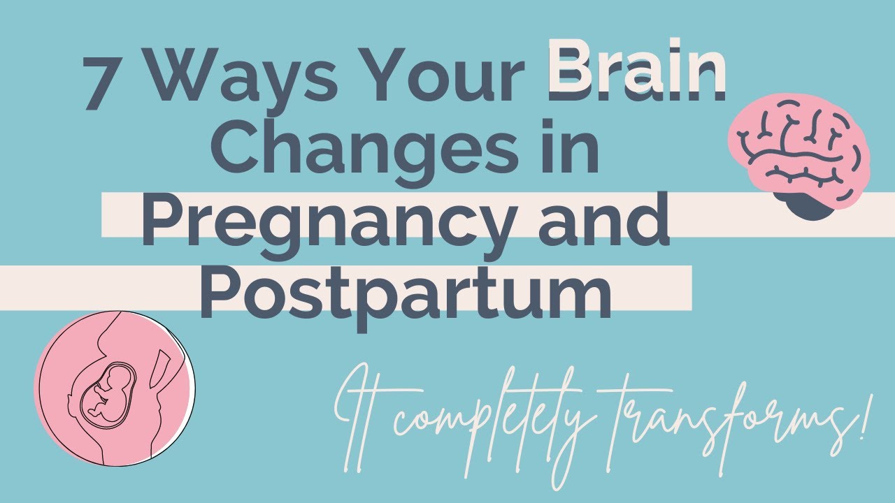 How Your Brain Changes in Pregnancy and Postpartum: The PlayDoh Brain ...