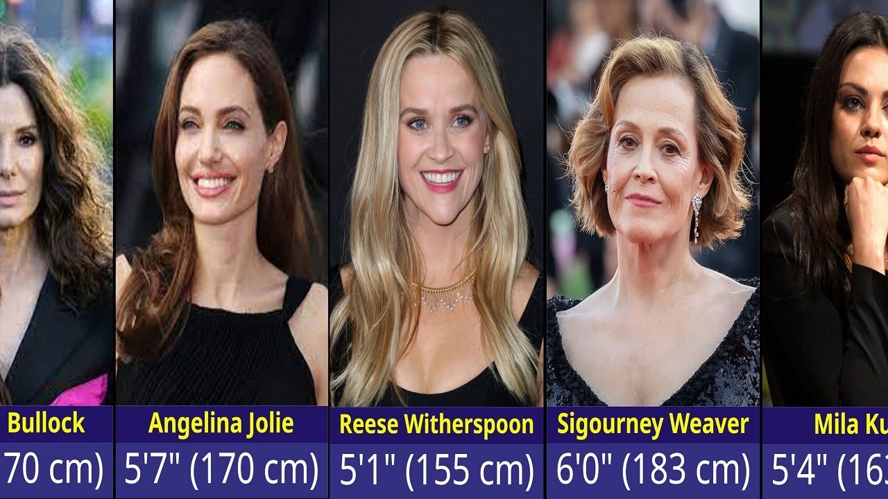 Height Comparison of Hollywood Actresses | Shortest to Tallest - YouTube